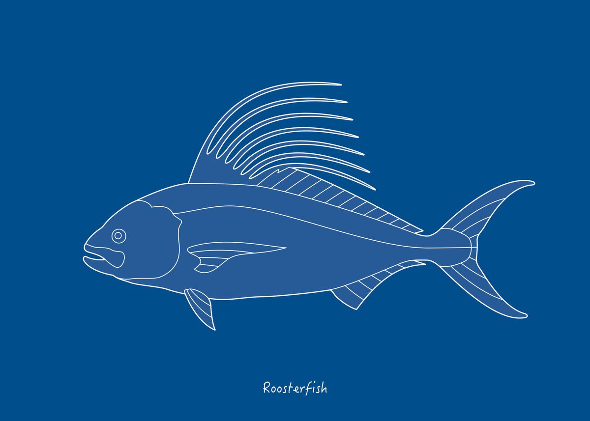 'Sea Fish ' Poster by Angling Knots | Displate