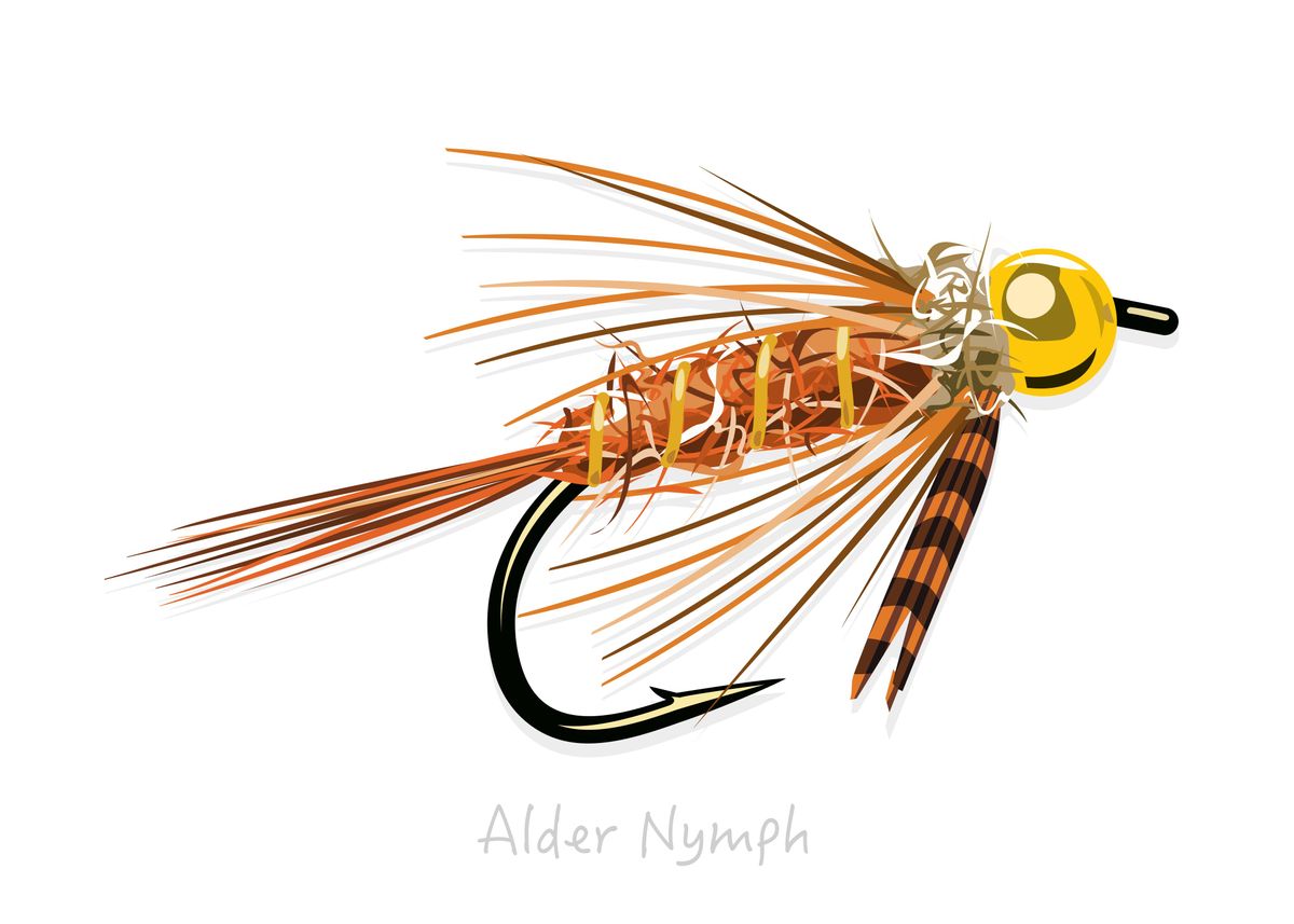'Fly Fishing Flies ' Poster by Angling Knots | Displate