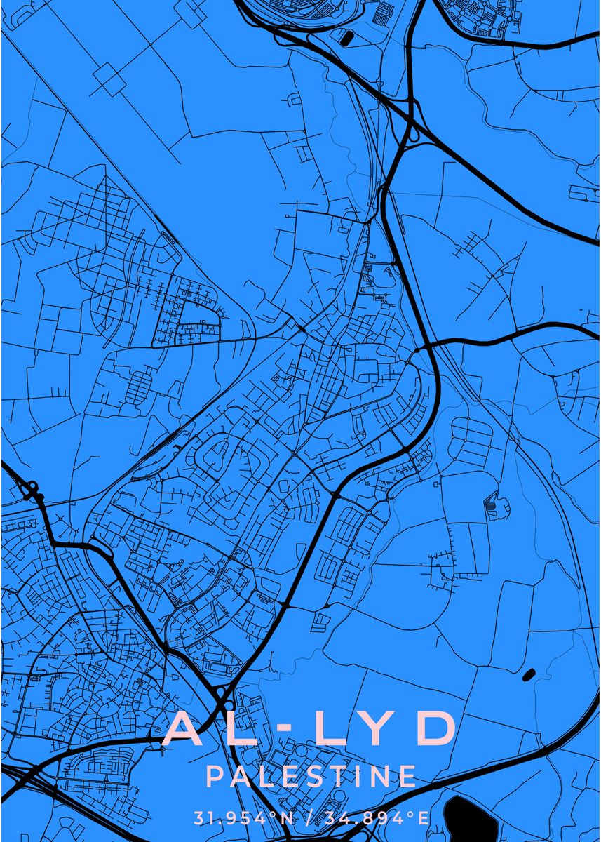 'Al Lyd Palestine Poster' Poster, picture, metal print, paint by Omar ...