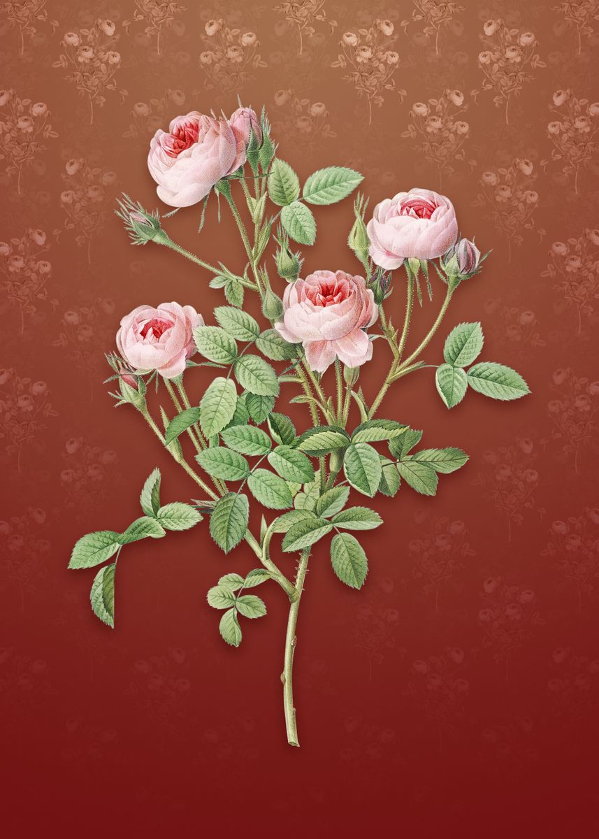 'Vintage Burgundian Rose' Poster, picture, metal print, paint by Holy ...