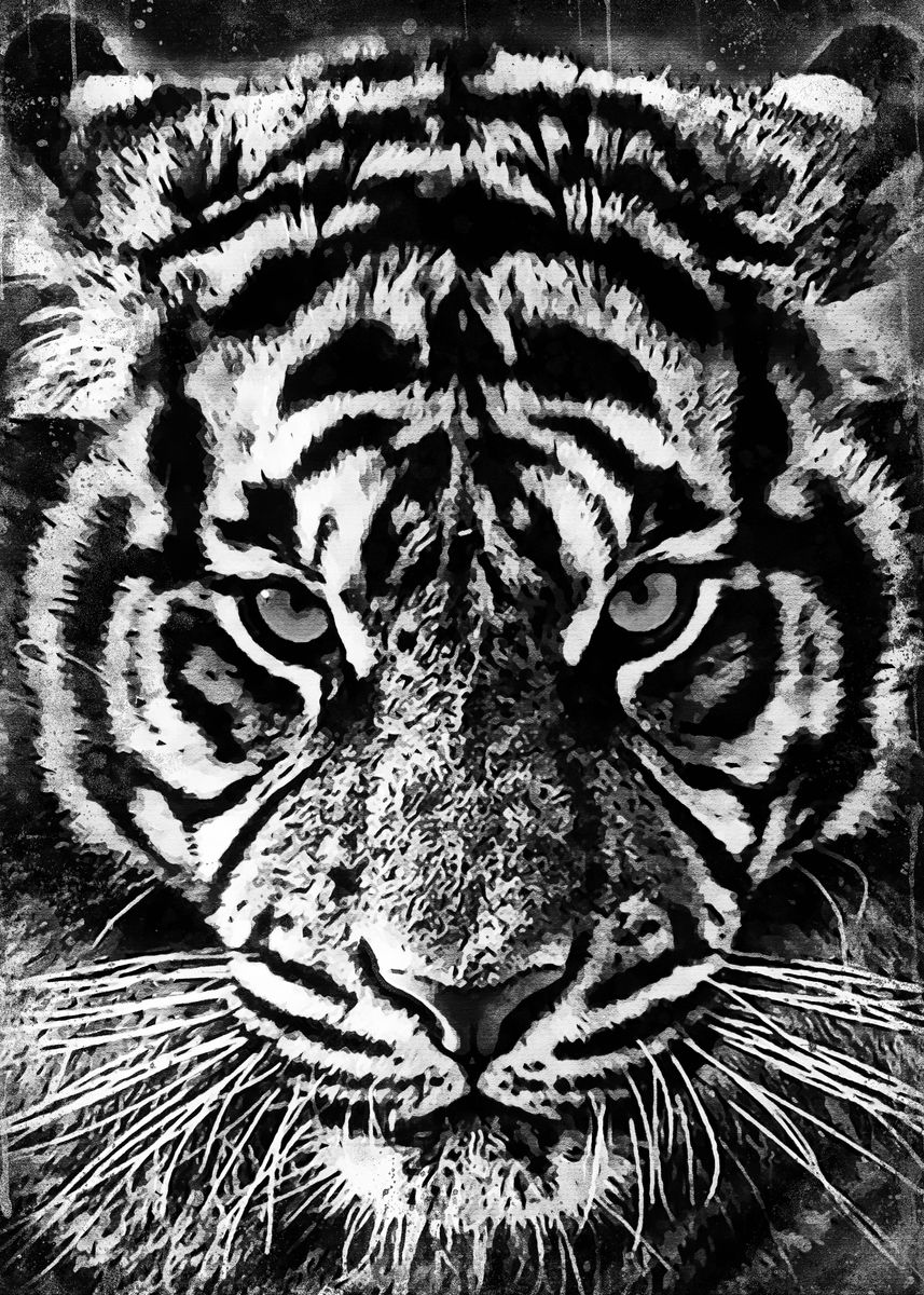 'Black Tiger New ' Poster, picture, metal print, paint by Coffee Design ...