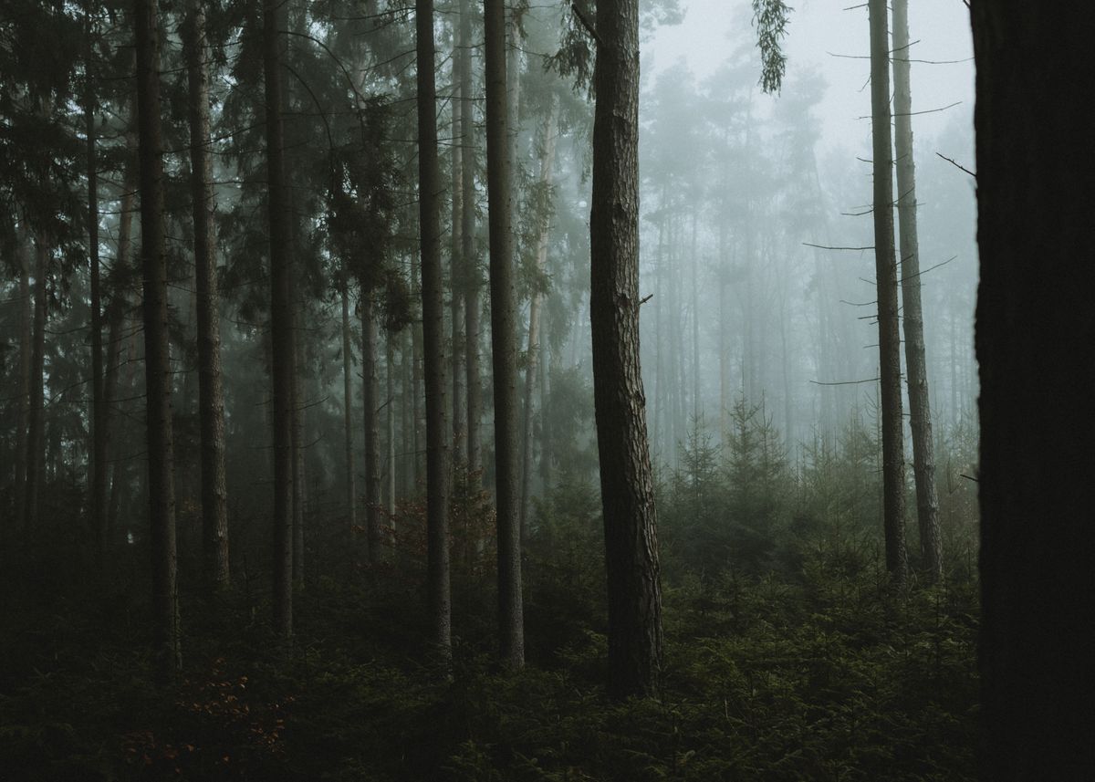 'Enlightened One' Poster by Tomáš Hudolin | Displate