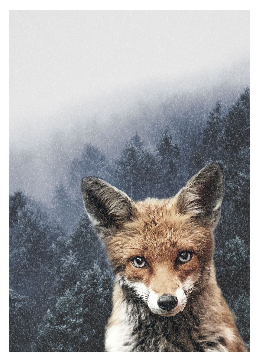 'Winter fox' Poster, picture, metal print, paint by Agnieszka Koppolu ...