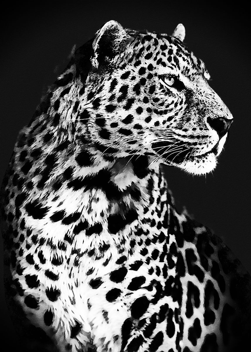 'Black Tiger ' Poster, picture, metal print, paint by Coffee Design ...