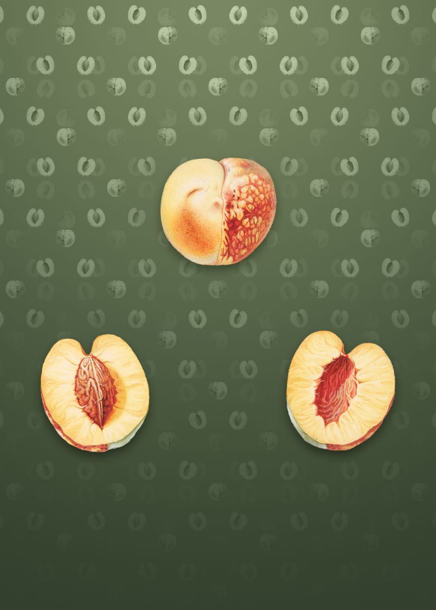 'Nectarine on Lunar Green' Poster, picture, metal print, paint by Holy ...