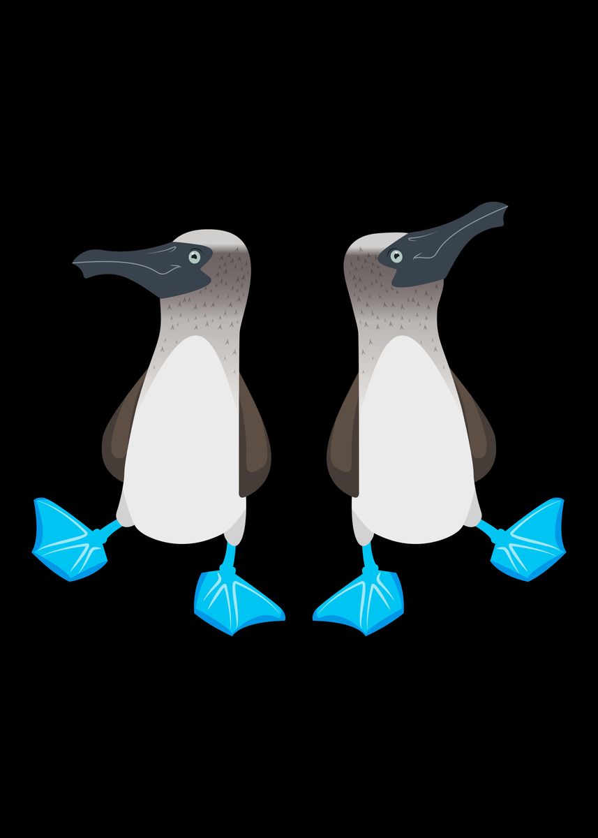 'Dancing Blue Footed Booby' Poster, picture, metal print, paint by Phil ...