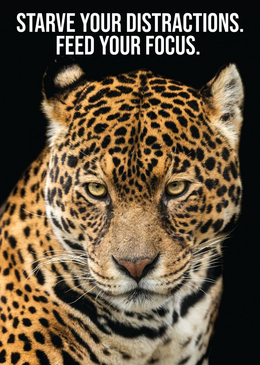 'Starve Your Distractions' Poster, picture, metal print, paint by CHAN ...