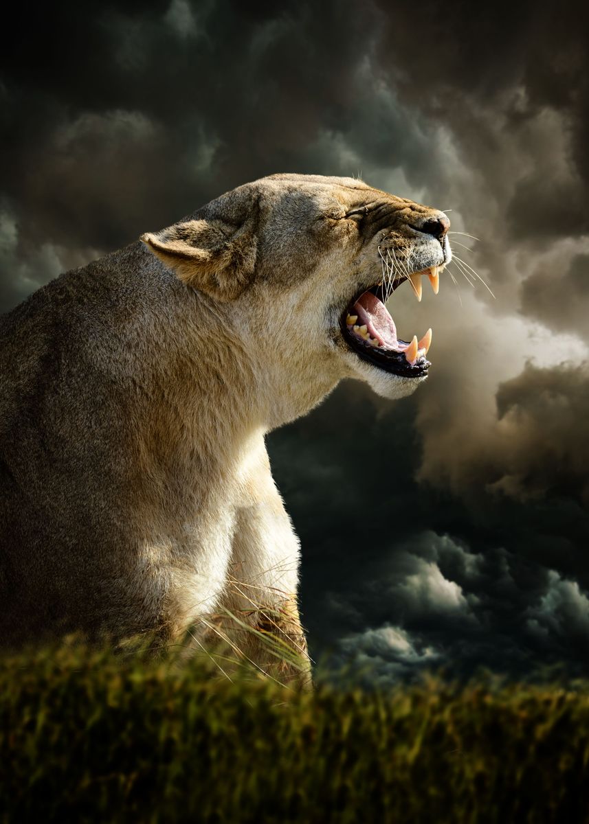 'Angry lion' Poster, picture, metal print, paint by Byrdyak | Displate