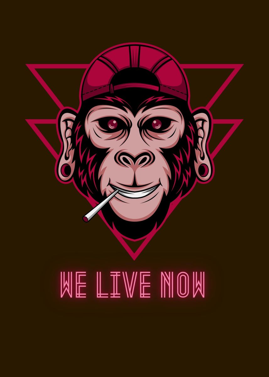 'Badas Dj MOnkey' Poster, picture, metal print, paint by Oizy ...