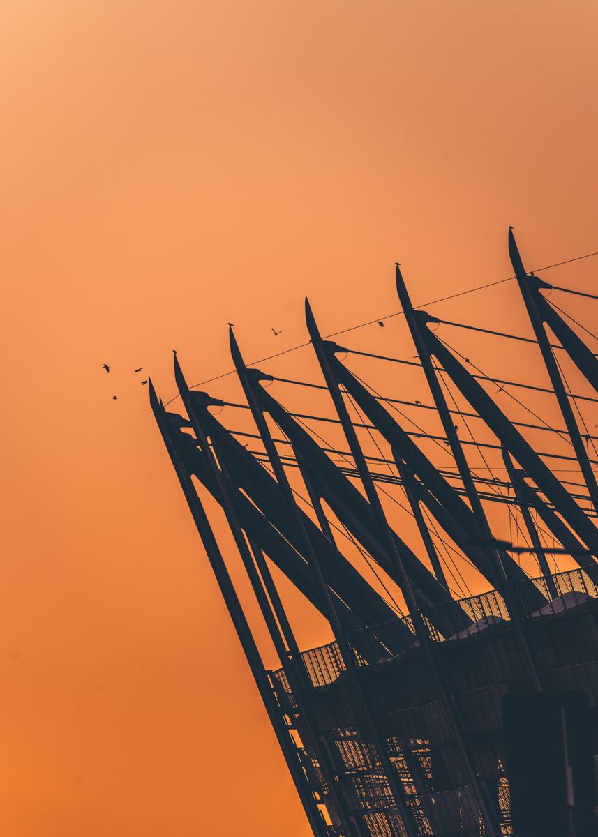 'Birds over the stadium' Poster, picture, metal print, paint by Adam ...