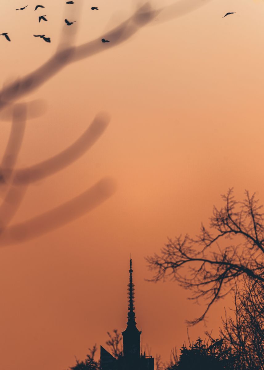 'Cityscape with palace' Poster by Adam Stolarczyk | Displate