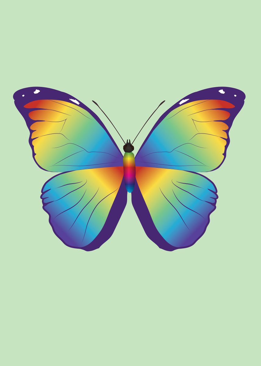 ' Rainbow butterfly ' Poster, picture, metal print, paint by Bianca ...