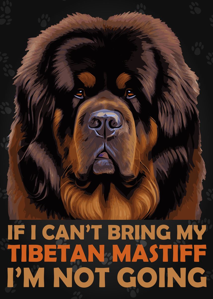 'Funny Tibetan Mastiff' Poster, picture, metal print, paint by ...