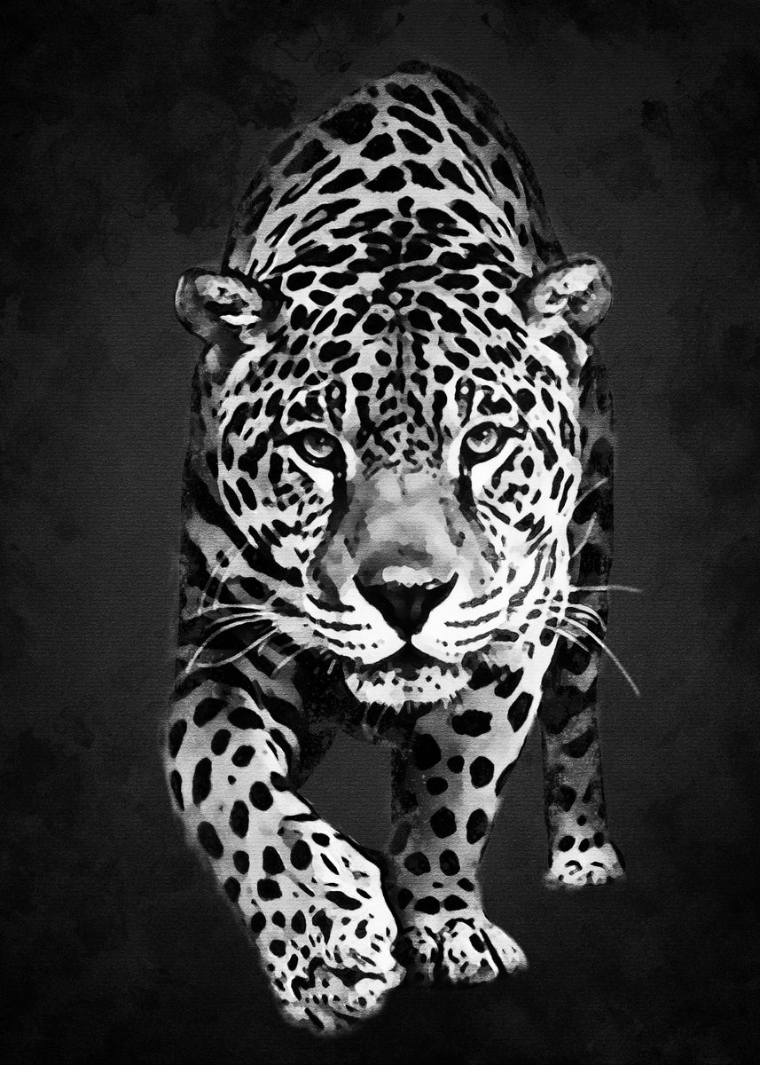 'Black Cheetah' Poster, picture, metal print, paint by Coffee Design ...