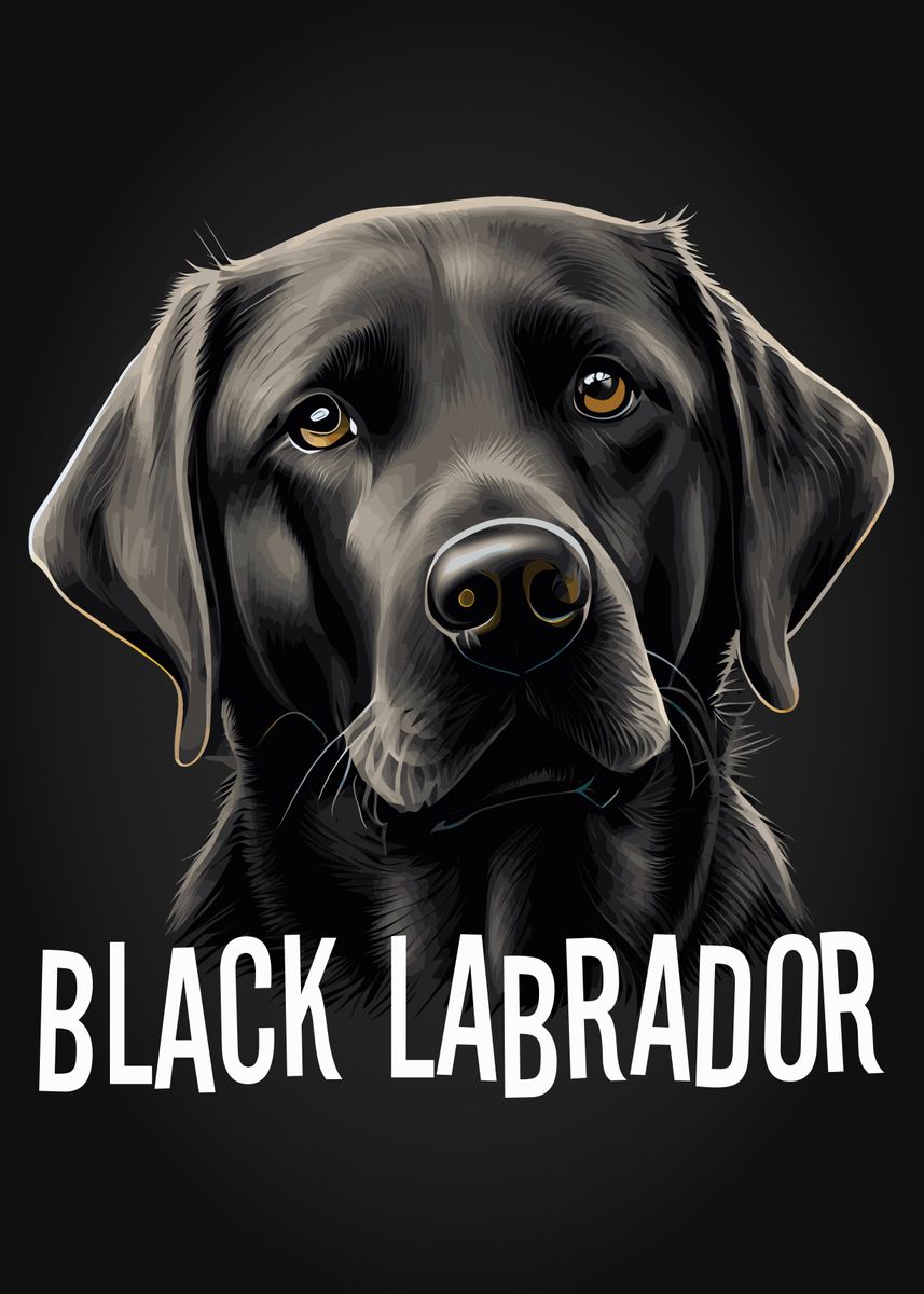 Black Labrador With Owner