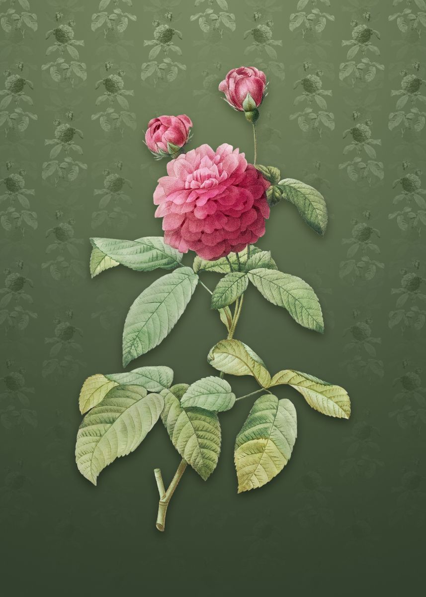 'Agatha Rose in Bloom' Poster, picture, metal print, paint by Holy Rock ...