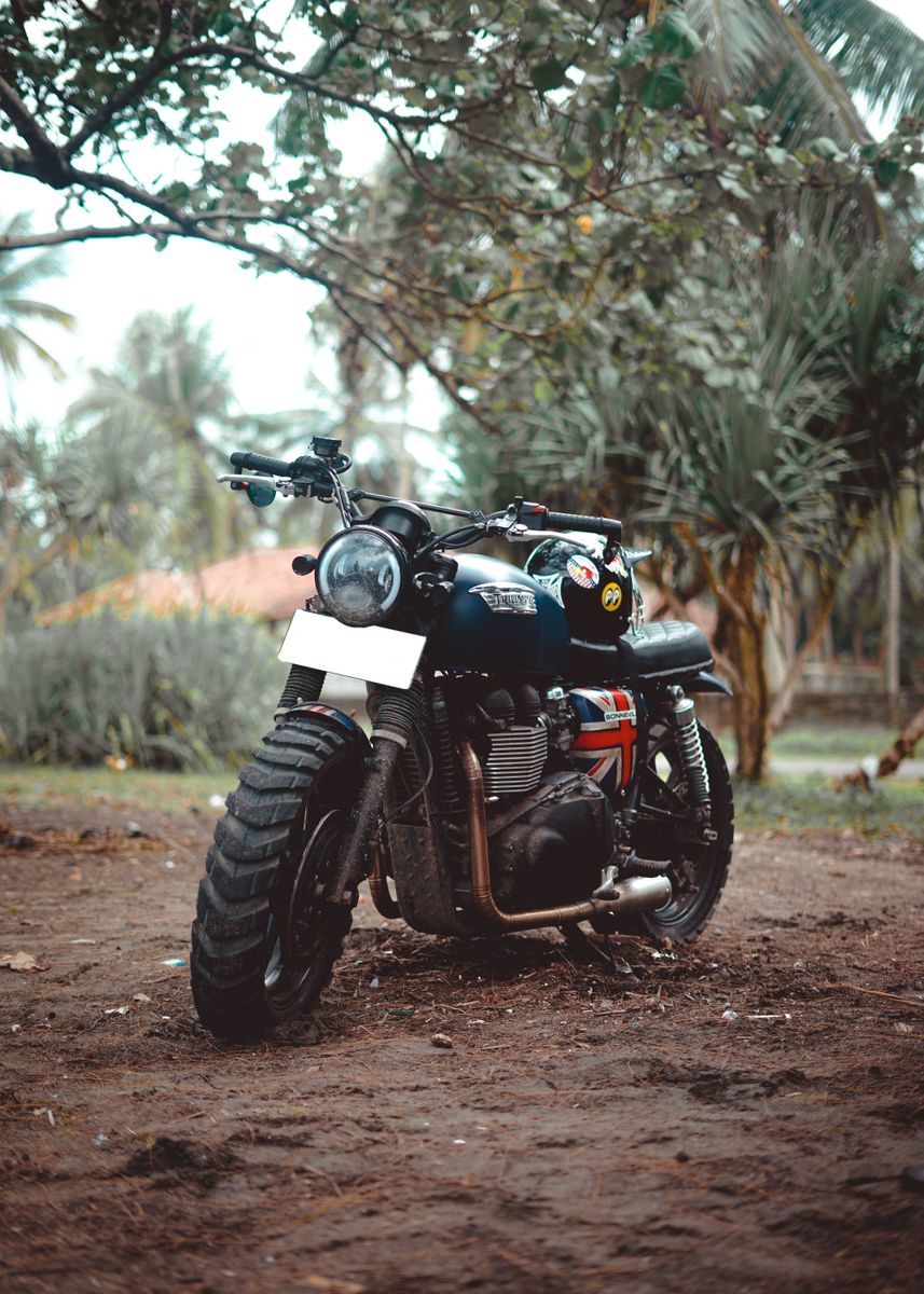 'Triumph' Poster by Sam Gong | Displate