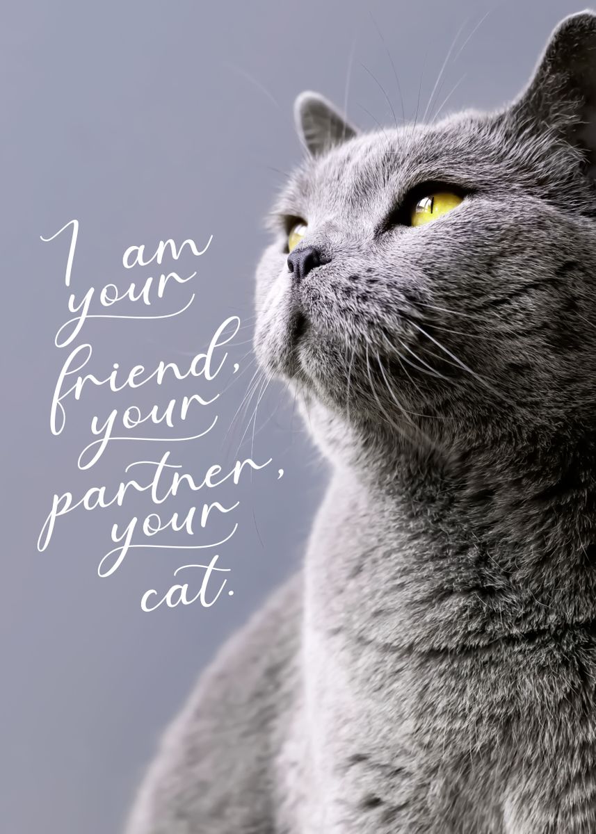 'Best Cat Quotes Sweet Love' Poster by Team Awesome | Displate