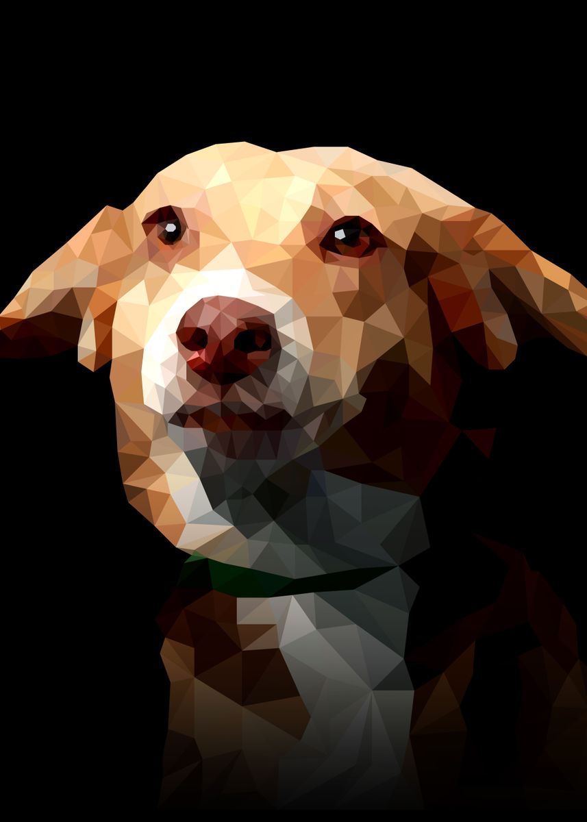 'Dog' Poster, picture, metal print, paint by dung nguyen | Displate