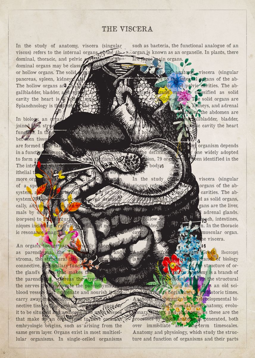 'Viscera Anatomy ' Poster, picture, metal print, paint by Aged Pixel ...