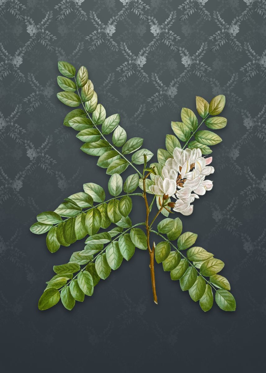 'Vintage Clammy Locust' Poster, picture, metal print, paint by Holy ...