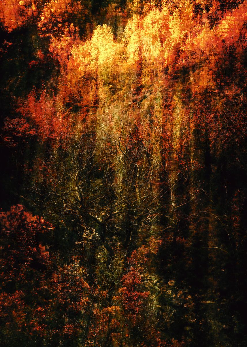 'Tree of solitude' Poster, picture, metal print, paint by Bassem Khaled | Displate