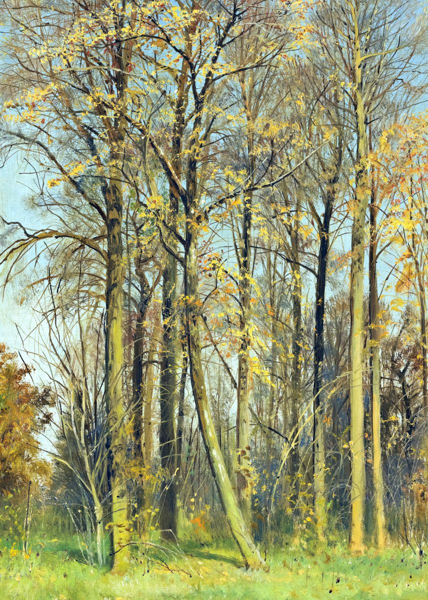 'Rowan Trees in Autumn' Poster, picture, metal print, paint by ...