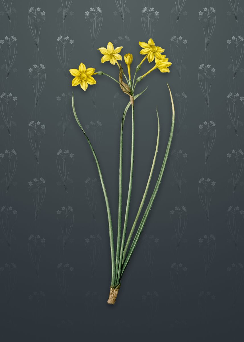 'Vintage Rush Daffodil' Poster by Holy Rock Design | Displate