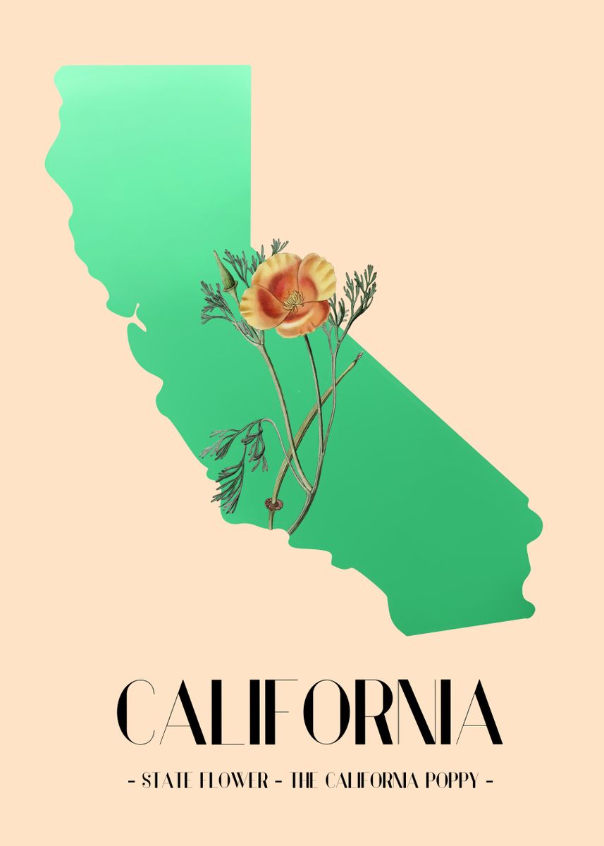 'California Poppy' Poster by King Blue | Displate