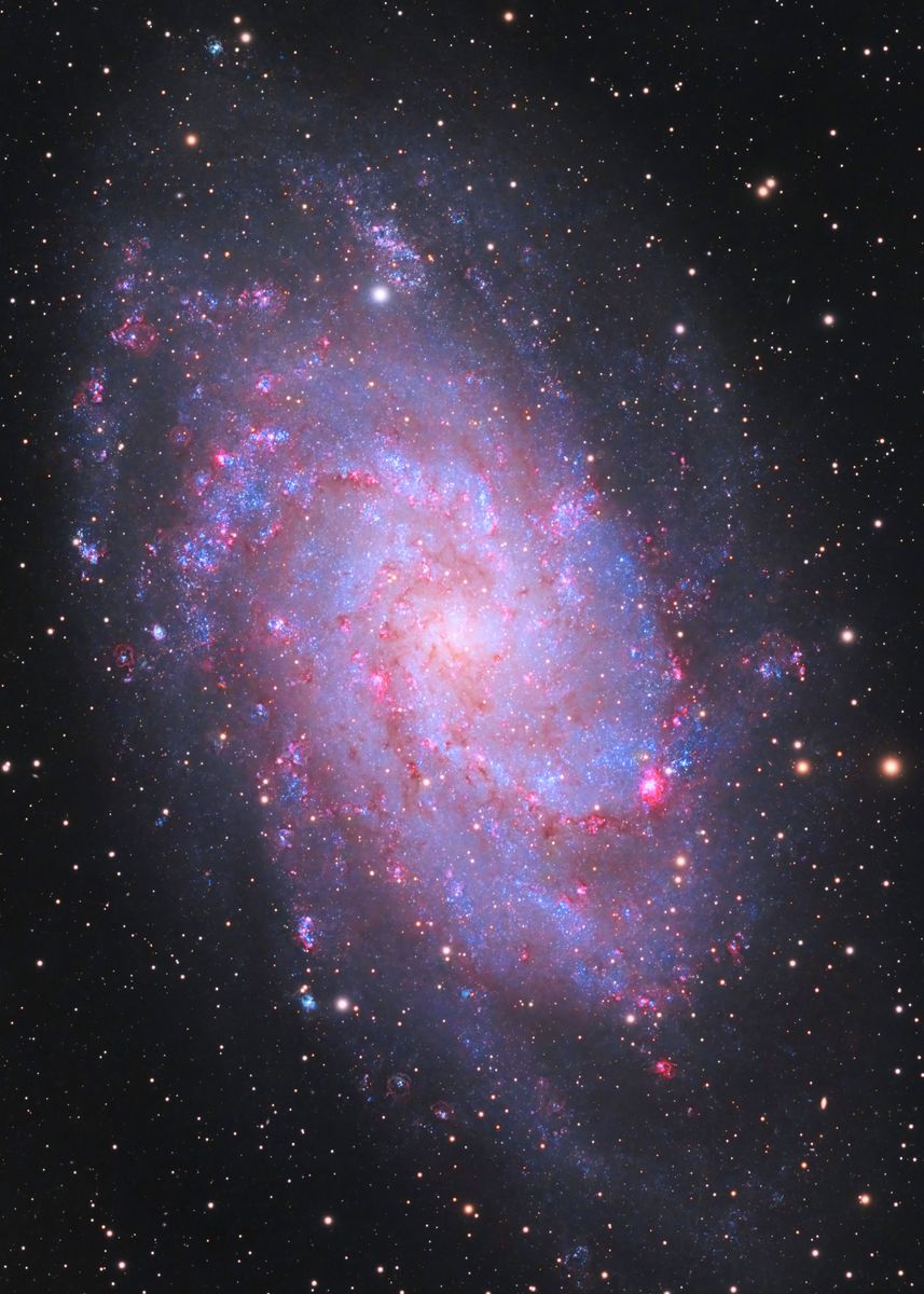 'The Triangulum Galaxy' Poster, picture, metal print, paint by Bright ...