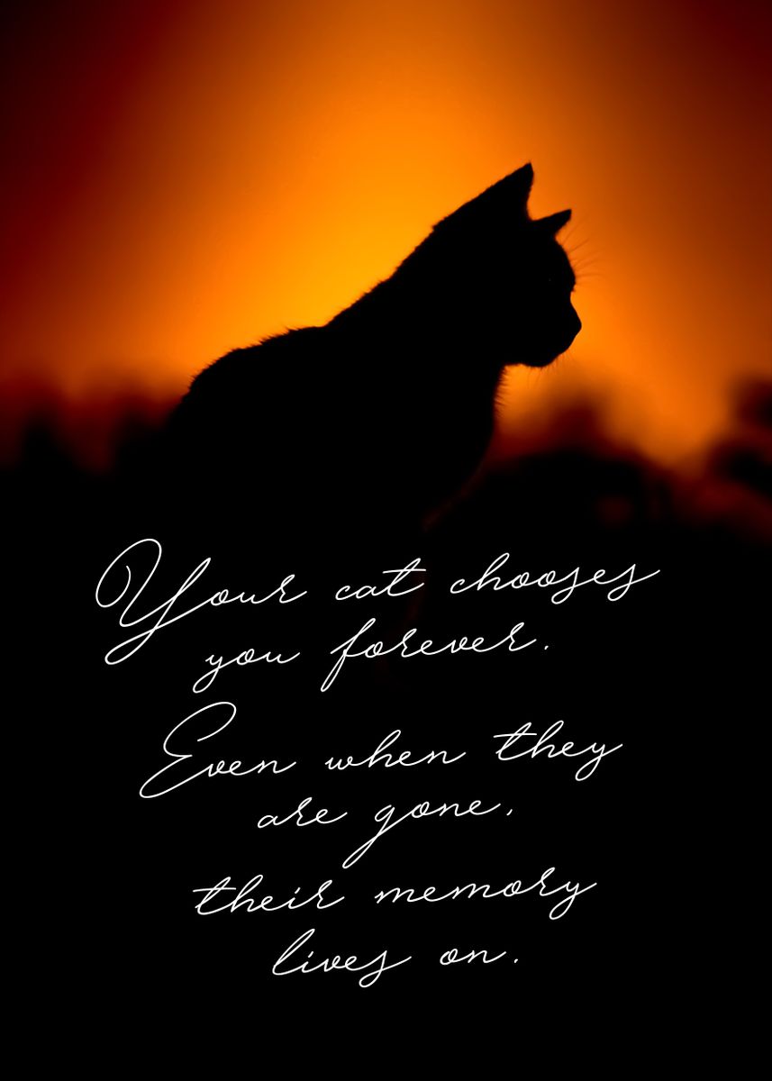 'Quote About Cat Death' Poster, picture, metal print, paint by Team ...