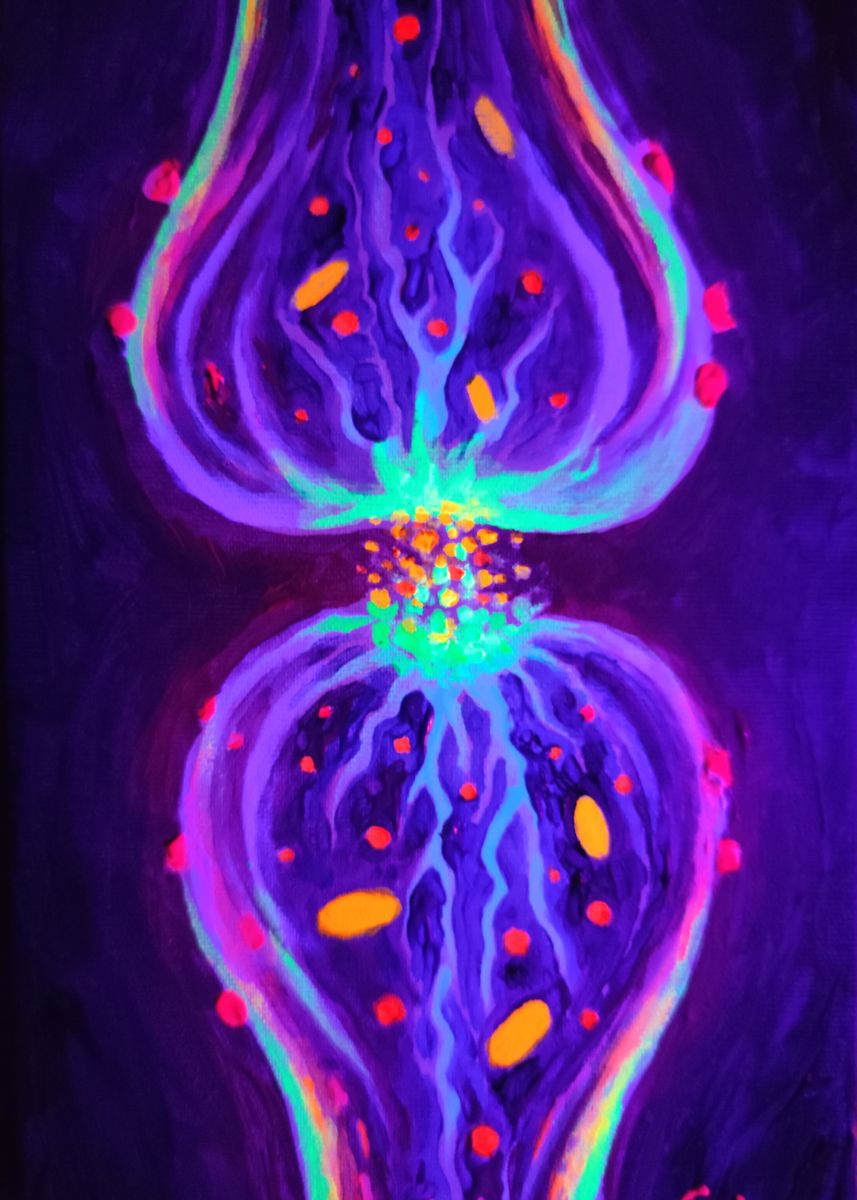 'Synapse neurotransmiters' Poster by | Displate