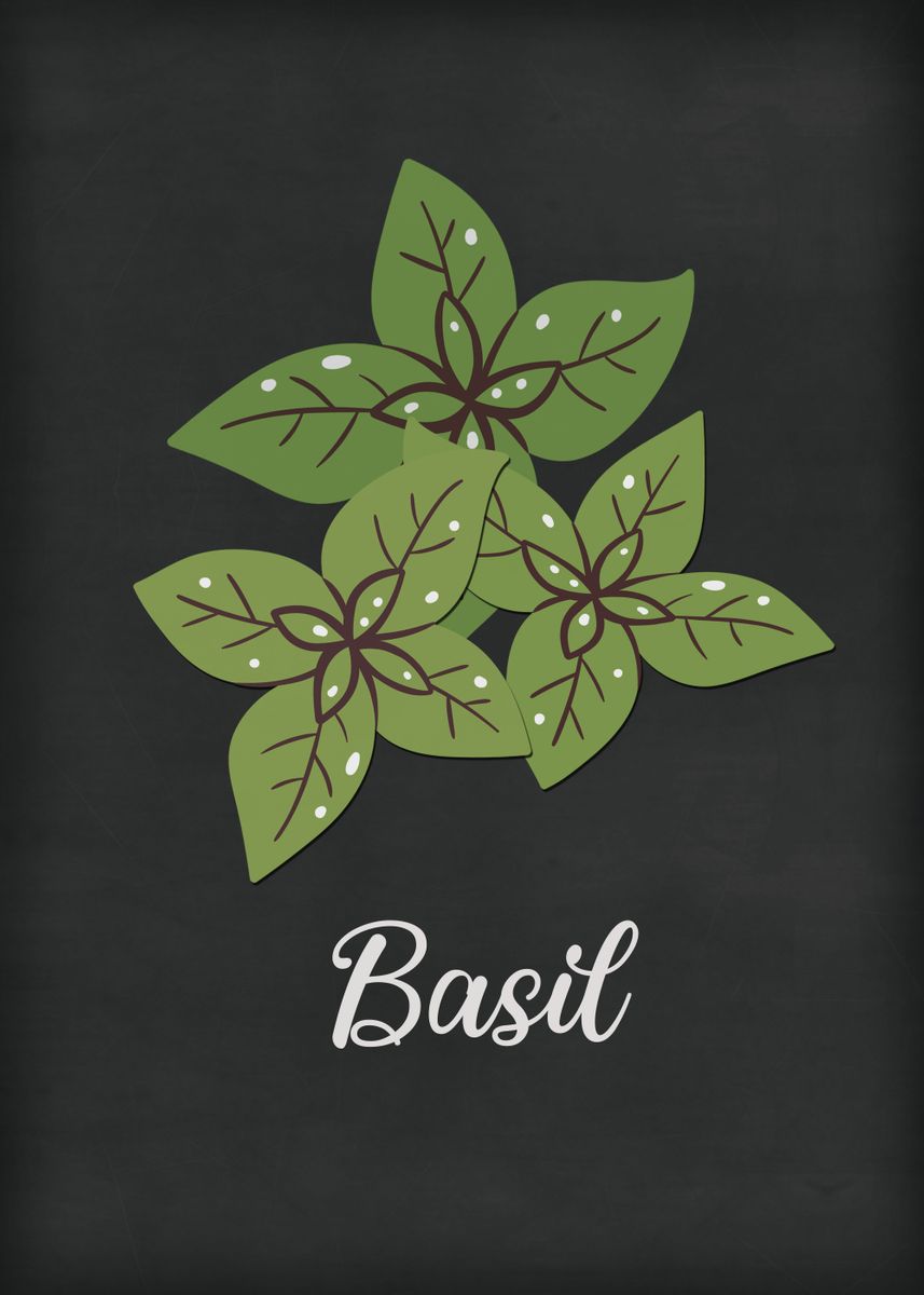 'Basil Art' Poster, picture, metal print, paint by XandYart | Displate