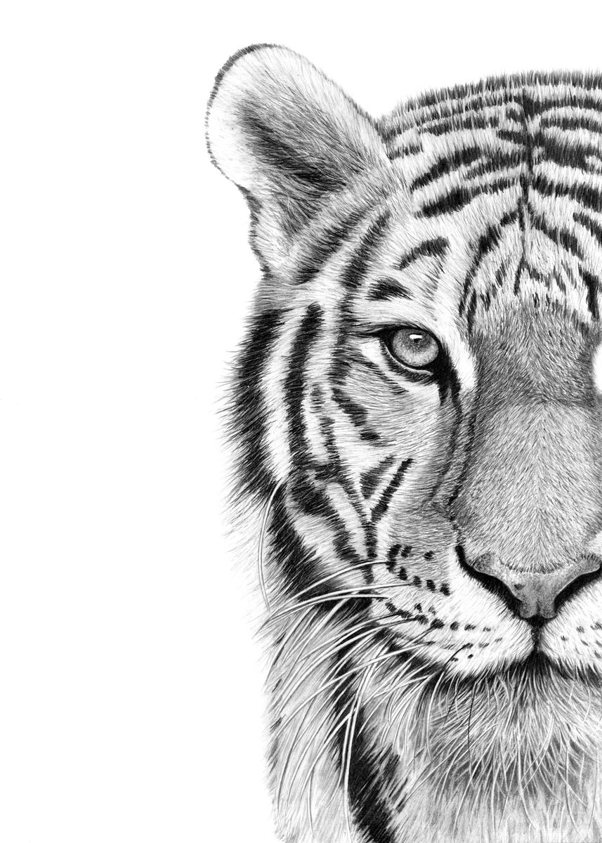 'Rajah' Poster, picture, metal print, paint by Paul Stowe | Displate