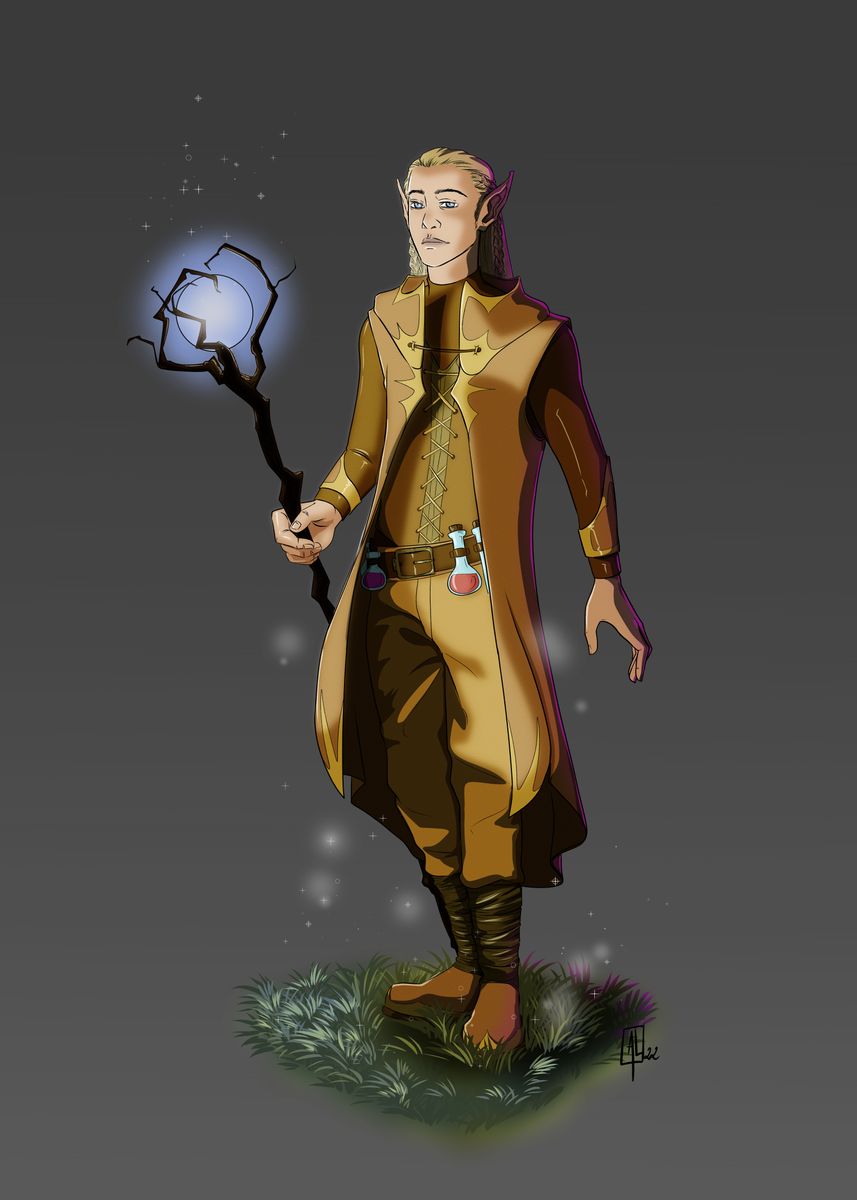 'Elf Wizard' Poster, picture, metal print, paint by Anais Leandre ...