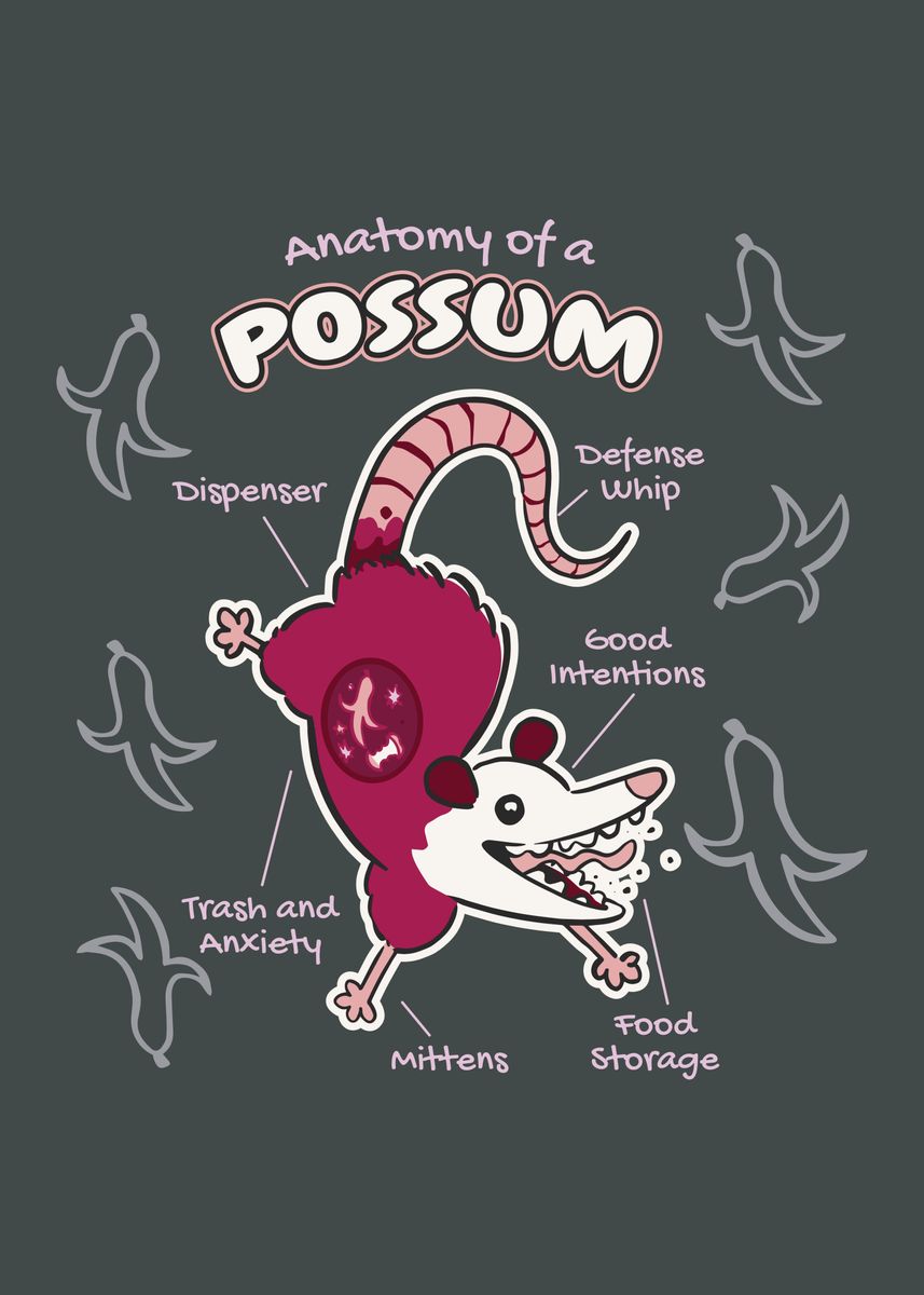 'Anatomy of a Possum Funny' Poster, picture, metal print, paint by Phil ...