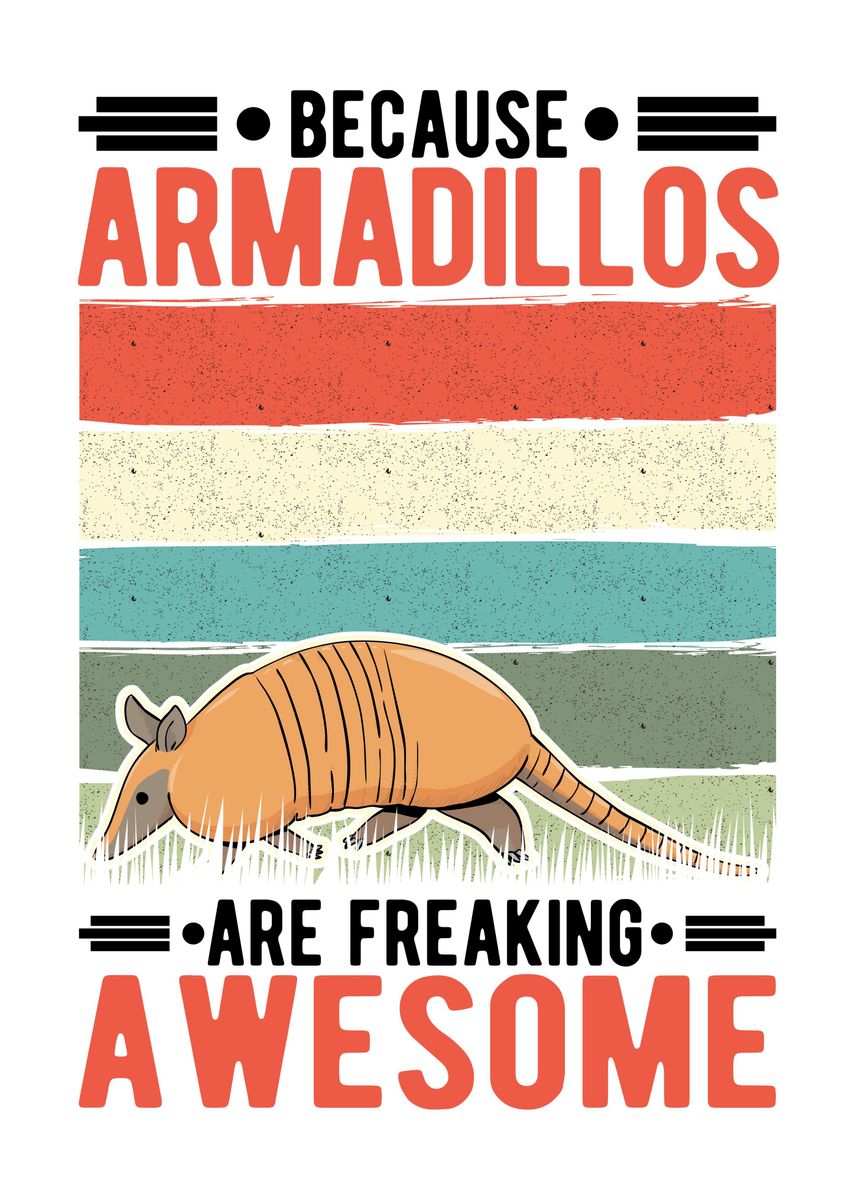 'Armadillo Gift' Poster, picture, metal print, paint by FavoritePlates ...