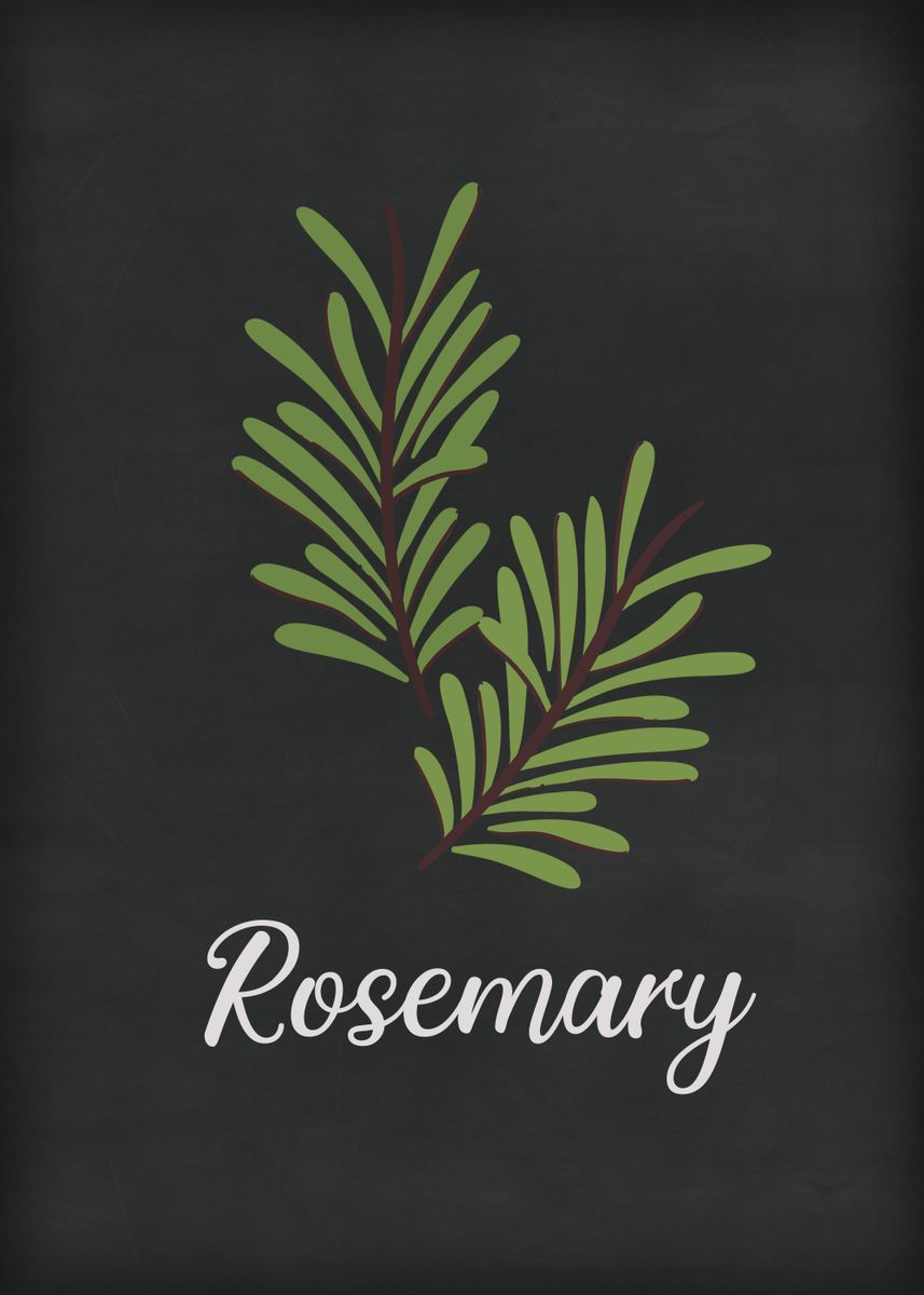 'Rosemary Art' Poster, picture, metal print, paint by XandYart | Displate