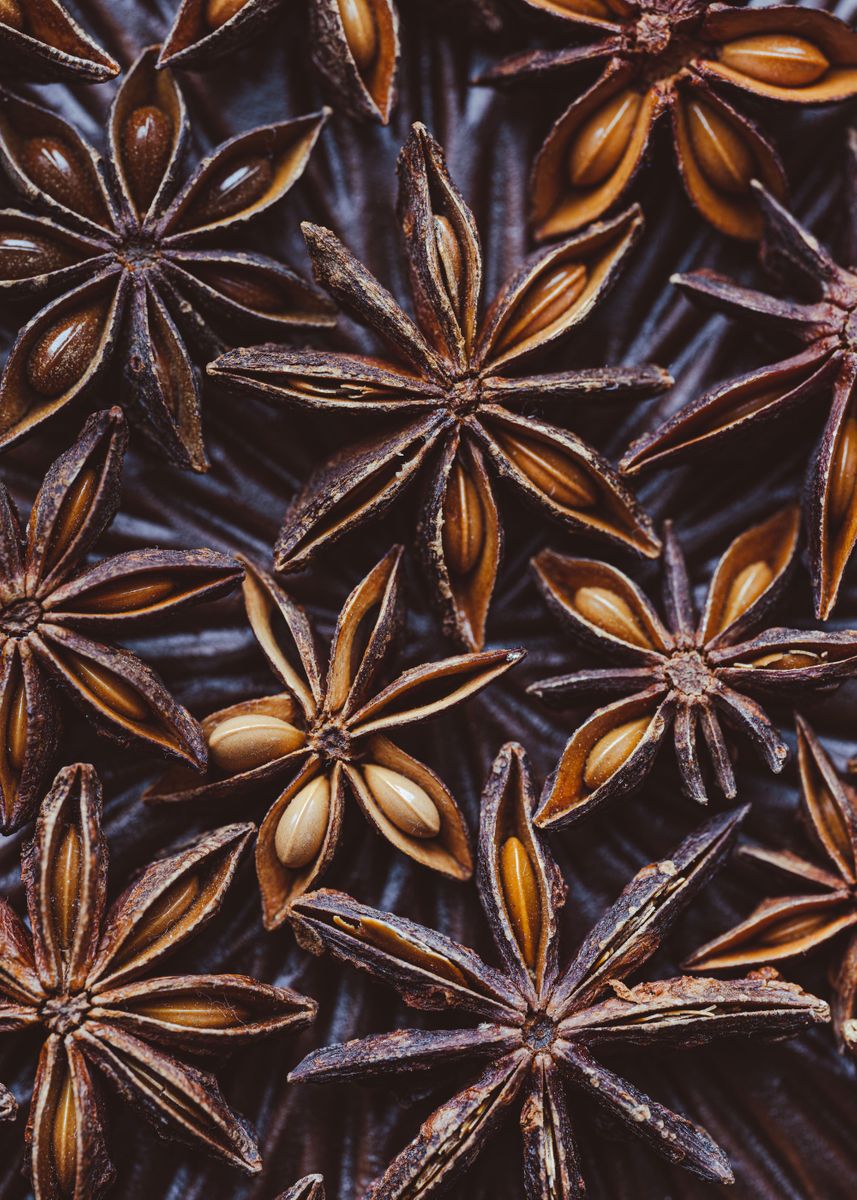 'Anise' Poster, picture, metal print, paint by Malwina Lewinska | Displate