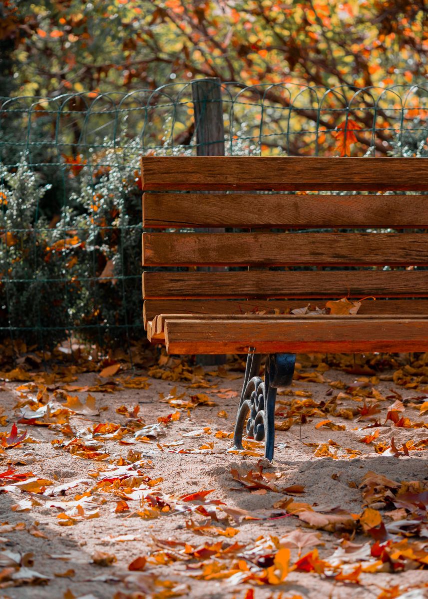 'Bench' Poster, picture, metal print, paint by Malwina Lewinska | Displate