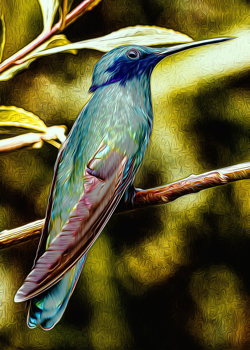 'Hummingbird' Poster, picture, metal print, paint by Tiker Arts | Displate