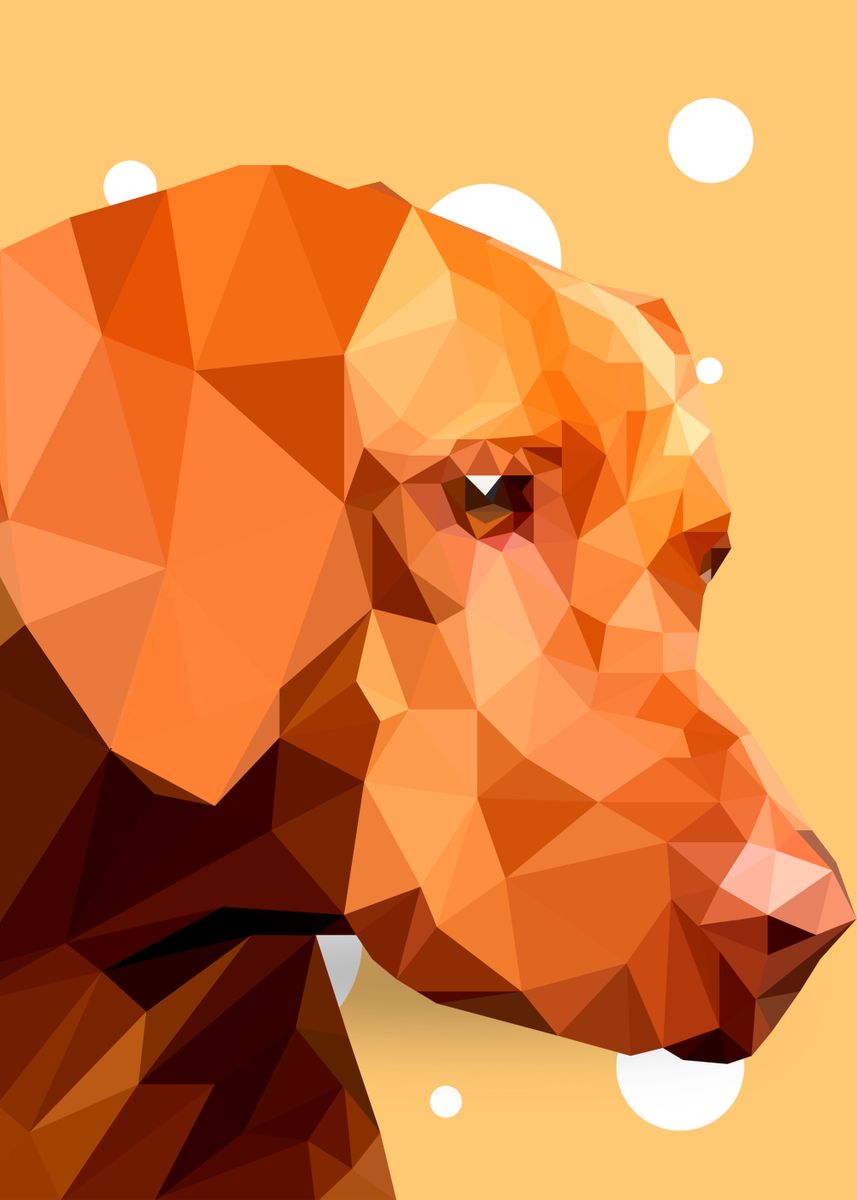 'Pointer' Poster by Lee Jani | Displate