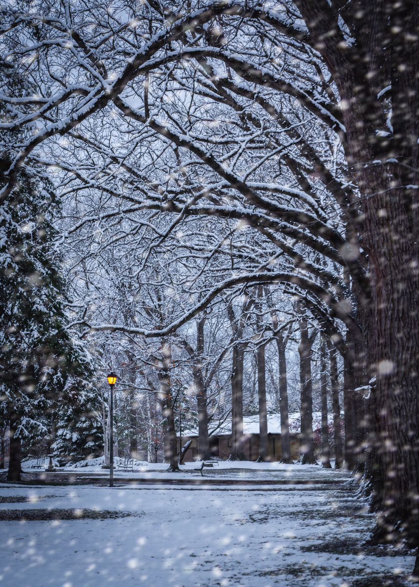 'Cold and Alone' Poster, picture, metal print, paint by Archie Arthurs ...