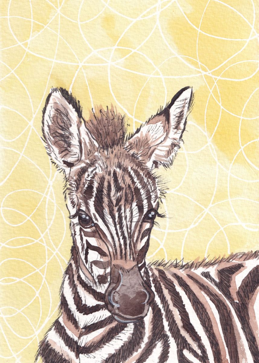 'Zara the Zebra' Poster by Robyn Heath | Displate