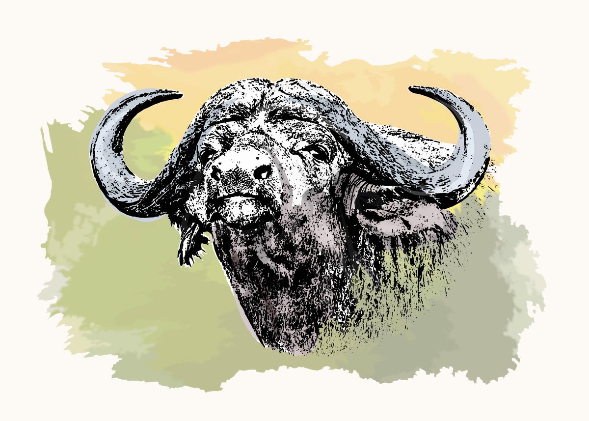 'Buffalo Bull in Color Wash' Poster by Scotch Macaskill | Displate