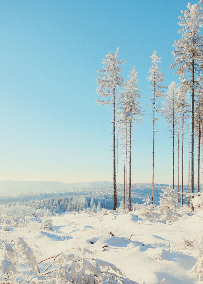 'The frozen country' Poster, picture, metal print, paint by marx ...