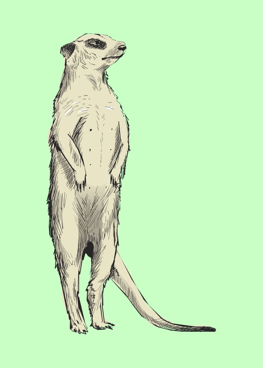 'Meerkat' Poster, picture, metal print, paint by Salah Nasri | Displate