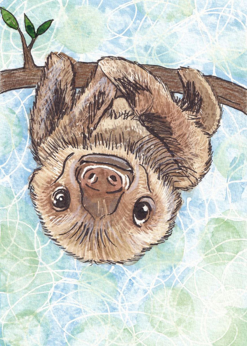 'Sammy the sloth' Poster, picture, metal print, paint by Robyn Heath ...