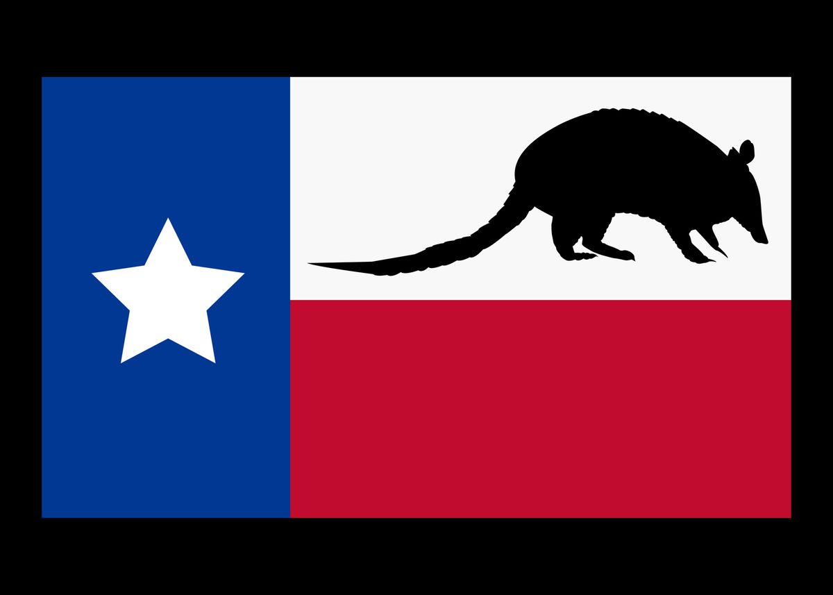 'Texas Armadillo Flag' Poster by Hexor | Displate