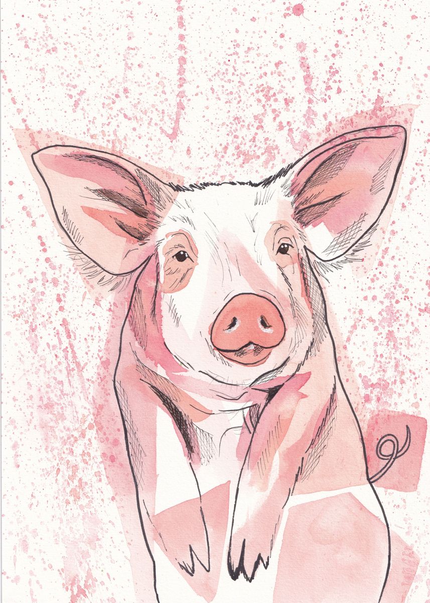 'Penny the pig' Poster, picture, metal print, paint by Robyn Heath ...